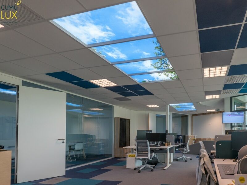 Comment réussir l'aménagement de vos espaces de travail ? - Cumulux | Eclairage de bien-être ...