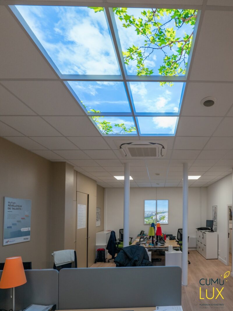 Le code du travail et ses obligations concernant l'apport de lumière en milieu professionnel ...